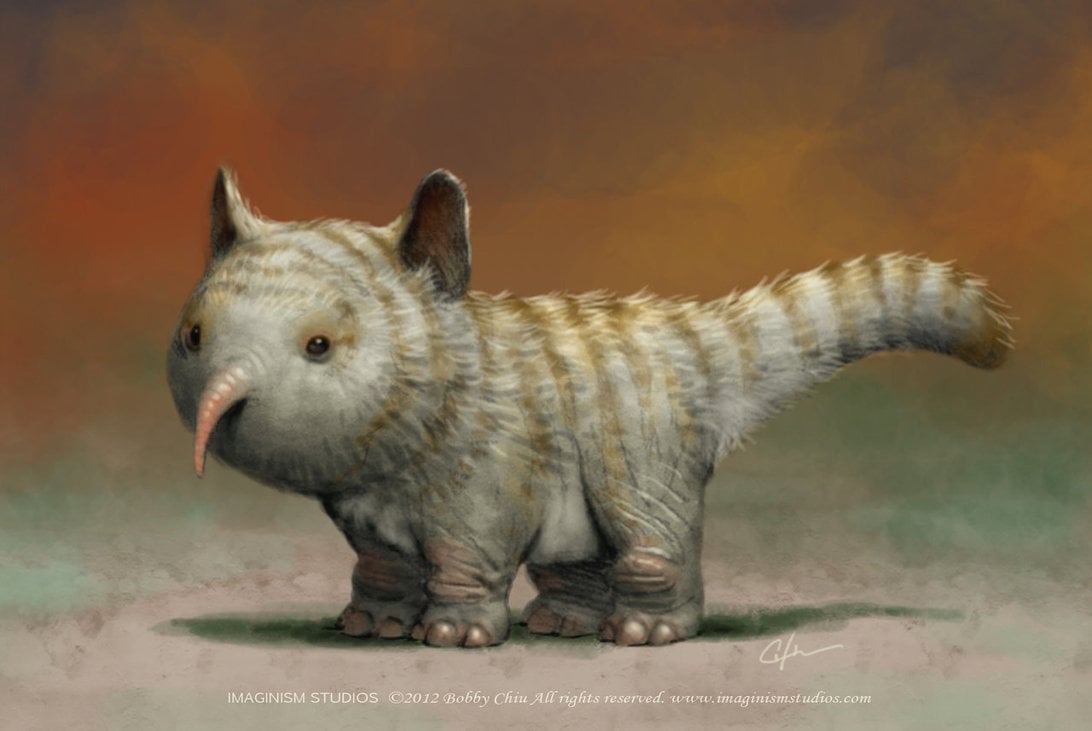 Adorable Imaginary Illustrated Animals Imaginism Studios | The Mary Sue