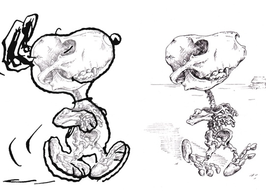 Classic Cartoon Characters Get Anatomical As Skeletons | The Mary Sue