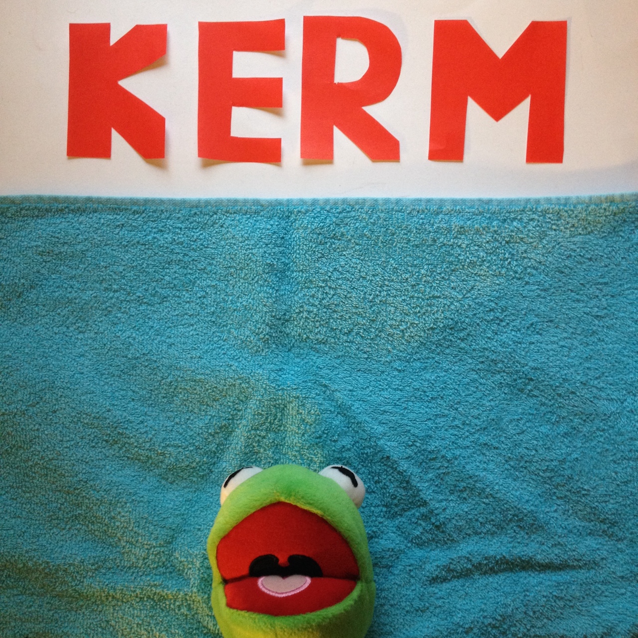 Muppet Kermit Pictures on Tumblr | The Mary Sue