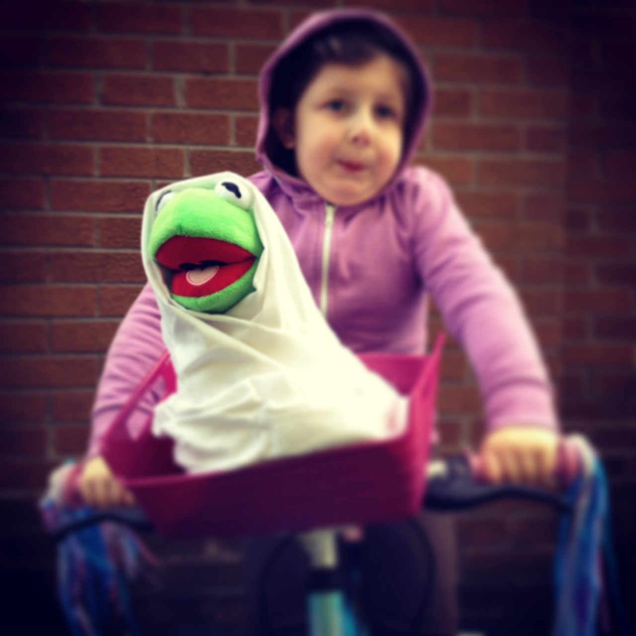Muppet Kermit Pictures on Tumblr | The Mary Sue