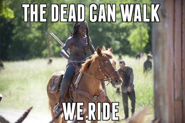 The Walking Dead Season Four Memes Daryl Michonne | The Mary Sue