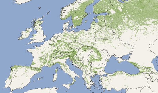 Forest Height Map - NASA | The Mary Sue