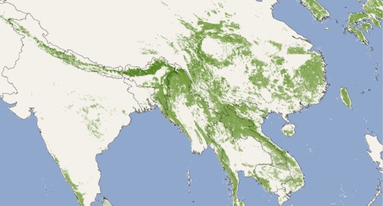 Forest Height Map - NASA | The Mary Sue