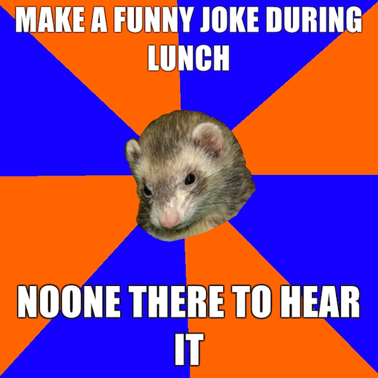 Freshman Ferret: Our 15 Favorite First-Year Follies | The Mary Sue