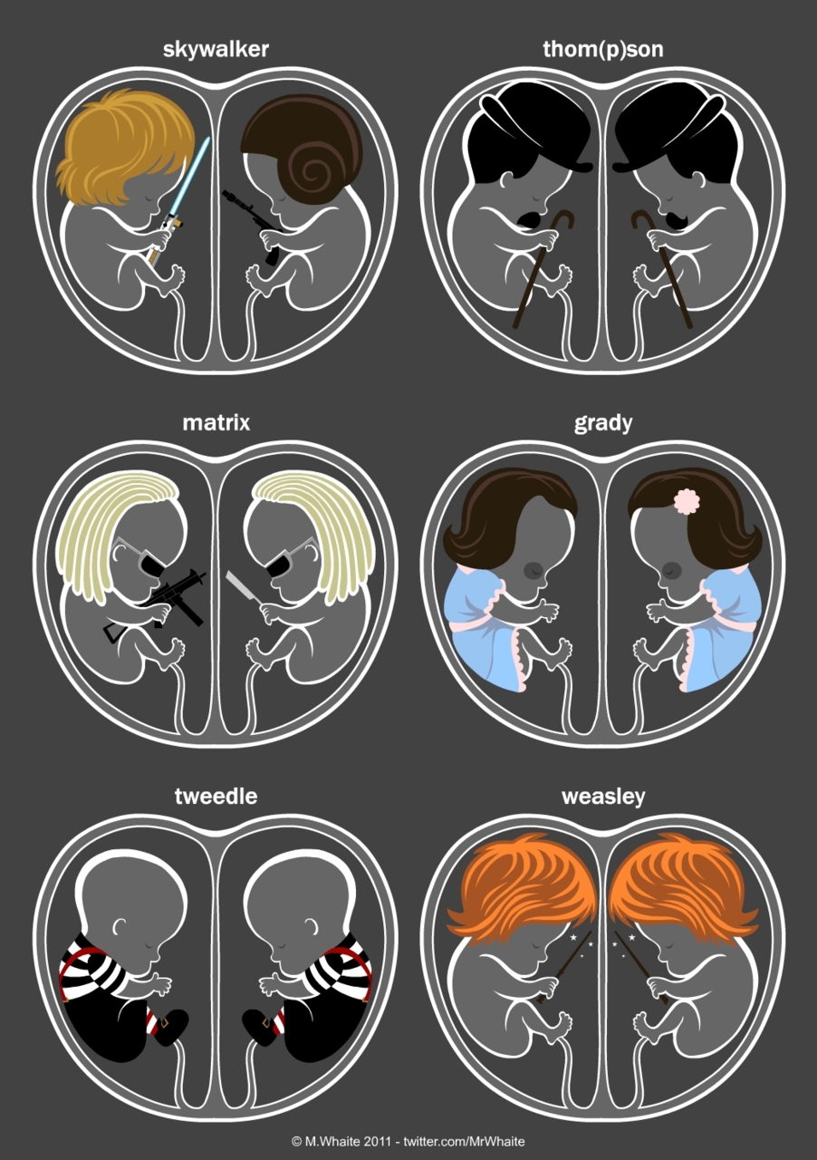 Things We Saw Today: Geekdom Twins In Vitro | The Mary Sue