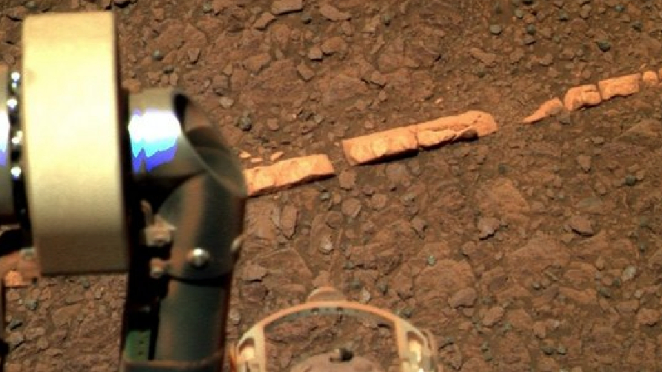 16 Cool Things Involving Watermelons | The Mary Sue