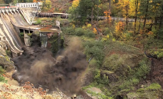 The Mary Sue - The Nexus of Pop Culture and the Uncharted Universe