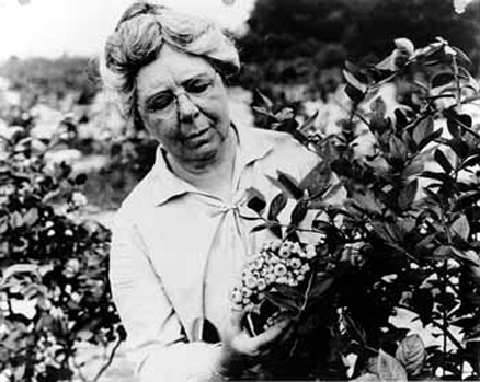 Elizabeth Coleman White Put Blueberries On The Map | The Mary Sue