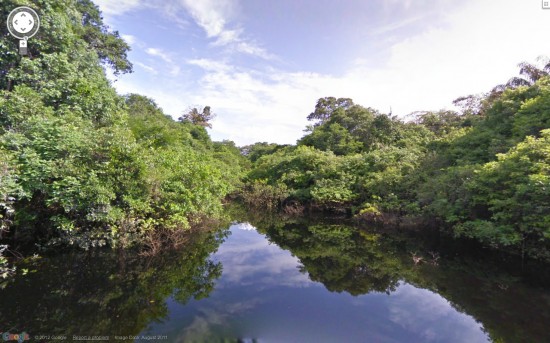 Google Adds Amazon Rainforest to Street View | The Mary Sue