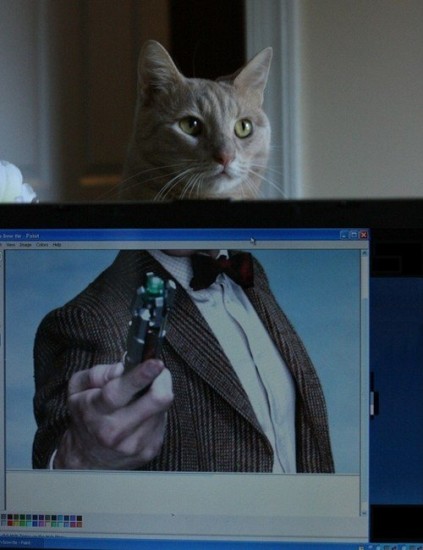 Doctor Mew | The Mary Sue