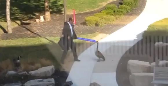 Man With Lightsaber Vs. Goose With Lightsaber | The Mary Sue