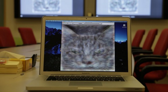 Google Computer Identifies Cats | The Mary Sue