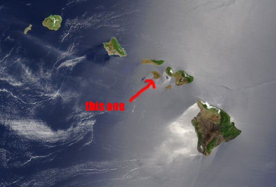 Oracle Co-Founder Buys Lanai Sixth Largest Hawaiian Island | The Mary Sue