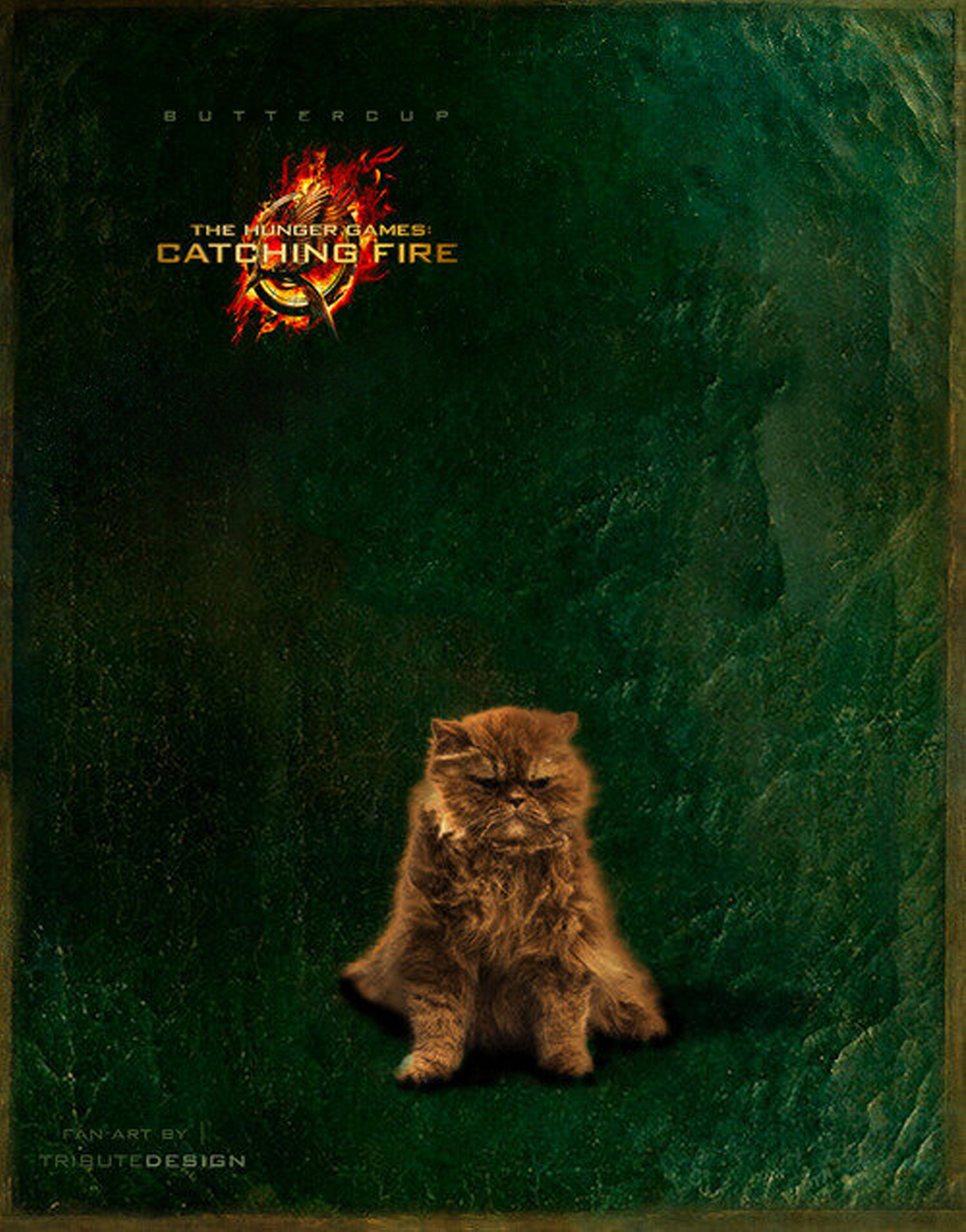 Fan Made Catching Fire Capitol Portrait | The Mary Sue