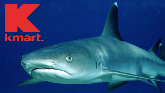 Kmart Shark Dies While Filming Commercial | The Mary Sue