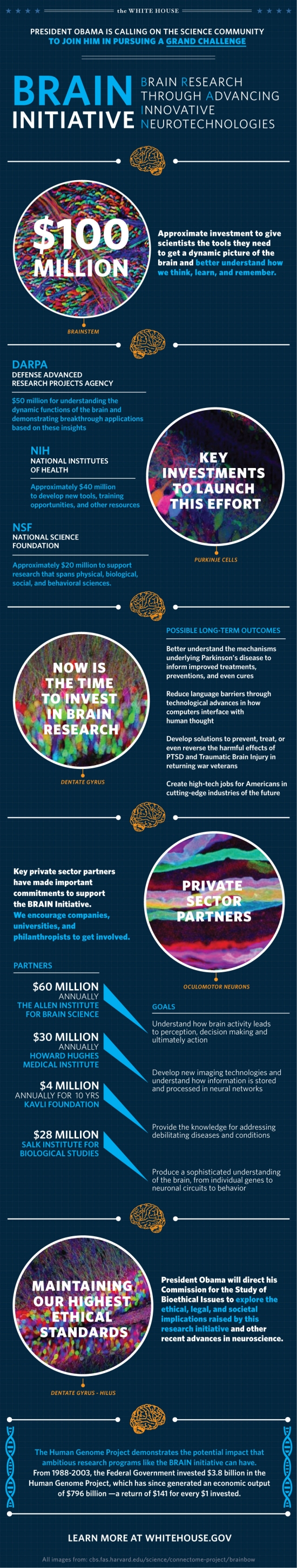 White House BRAIN Initiative Explained | The Mary Sue