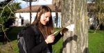 Epic Lord of the Rings Hobbit Geeky Scavenger Hunt Proposal | The Mary Sue