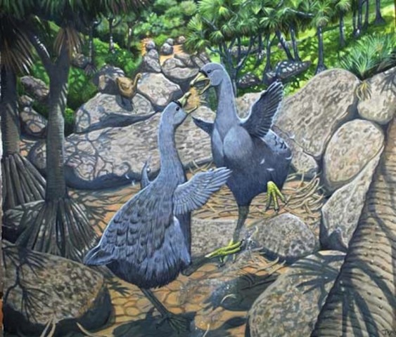 Solitaire Birds Fought With Bone Balls | The Mary Sue