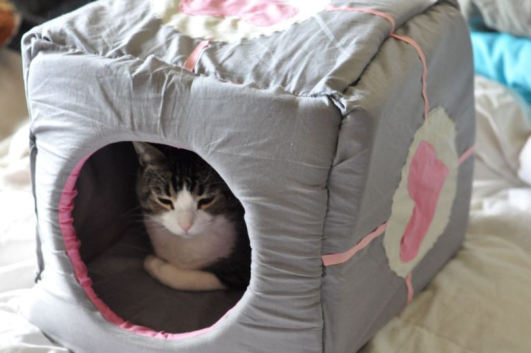 Cat Companion Cube | The Mary Sue