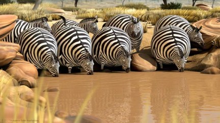 What If Wild Animals Were Round, Like Balloons? Animation | The Mary Sue