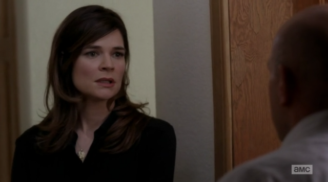 Breaking Bad Recap 5x12 "Rabid Dog" | The Mary Sue