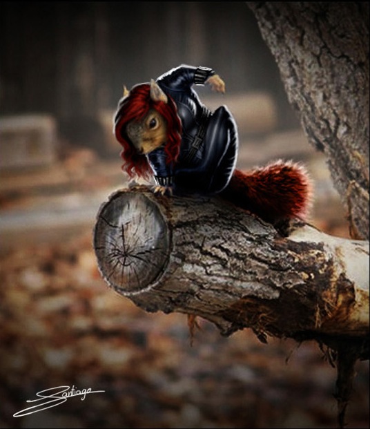 Superhero Squirrels | The Mary Sue