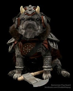 Pig Guard Pug Dog Costume | The Mary Sue