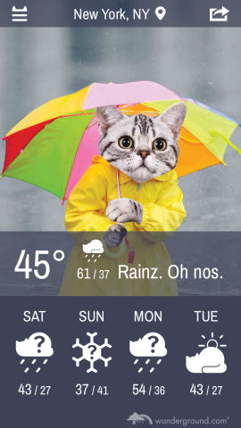 Weather Whiskers App Illustrates Forecast with Cats | The Mary Sue