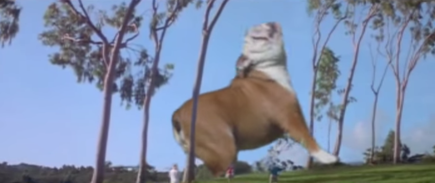 Jurassic Park With Dogs Instead Of Dinosaurs | The Mary Sue
