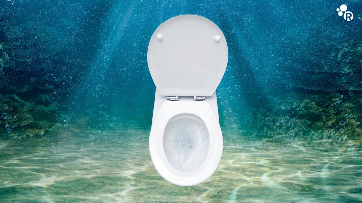 Is It Okay To Pee in the Ocean? Science Says Yes | The Mary Sue