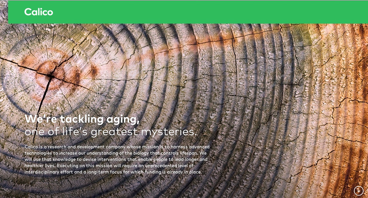 Google Death Cure Company Calico Launches New Site | The Mary Sue