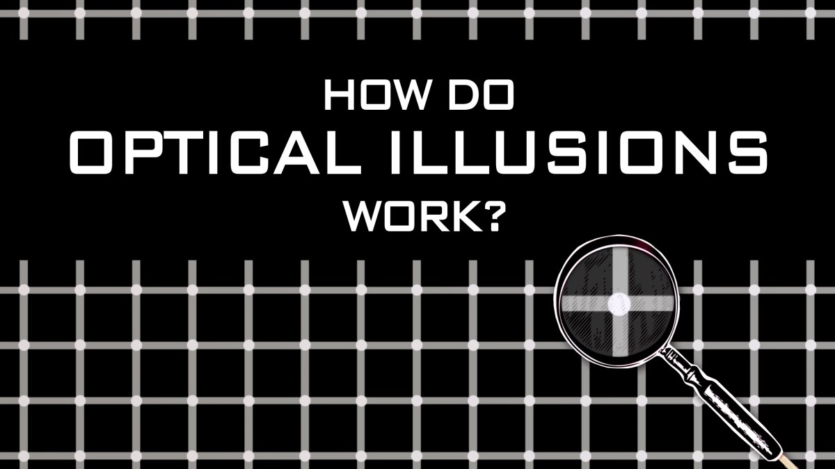 TED-Ed Explains How Optical Illusions Work | The Mary Sue