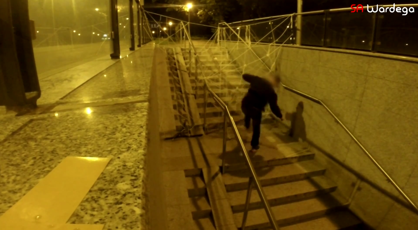 Giant Mutant Spider Dog Cute Scary Prank | The Mary Sue