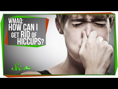 SciShow's Hank Green Teaches You How To Get Rid Of Hiccups | The Mary Sue
