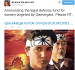 Legal Defense Fund For Women Targeted By Gamergate | The Mary Sue