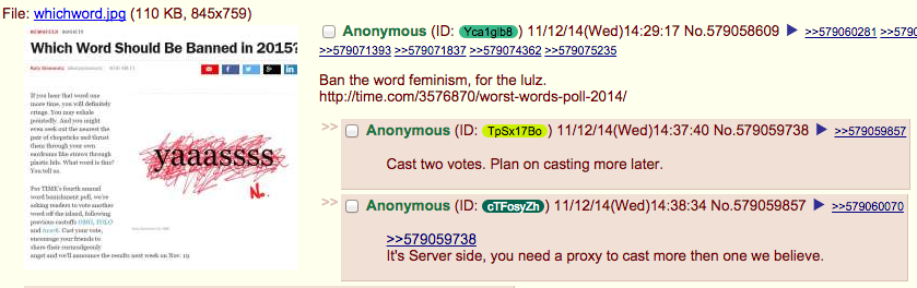 "Feminist" Is Winning that Stupid Time Poll Because of 4Chan | The Mary Sue