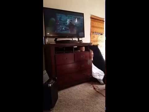 Pup Watching GotG Jumps for Joy When He Sees Rocket | The Mary Sue