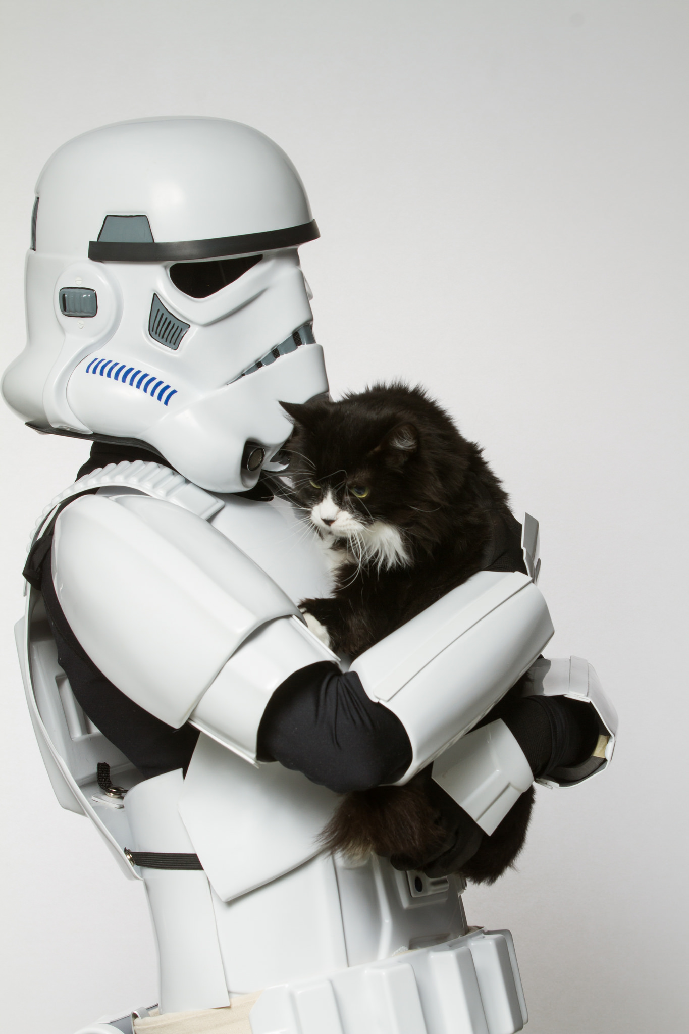 Star Wars Cosplayers With Cute Fuzzy Pets For Adoption | The Mary Sue