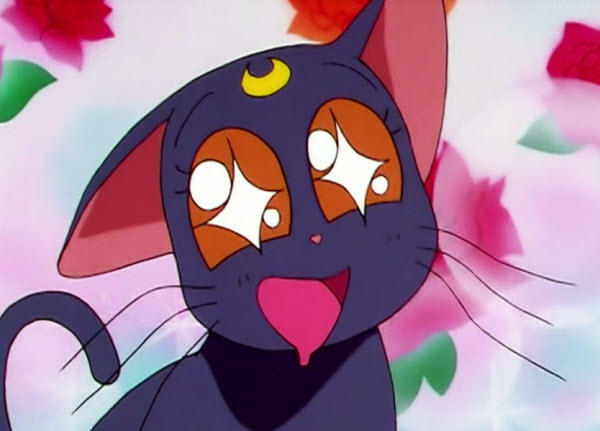 Sailor Moon Newbie Recaps: Episodes 178 & 179 | The Mary Sue