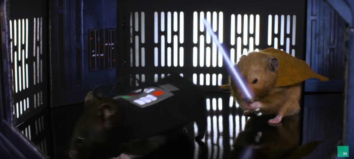 Things We Saw Today: Jedi Hamsters | The Mary Sue
