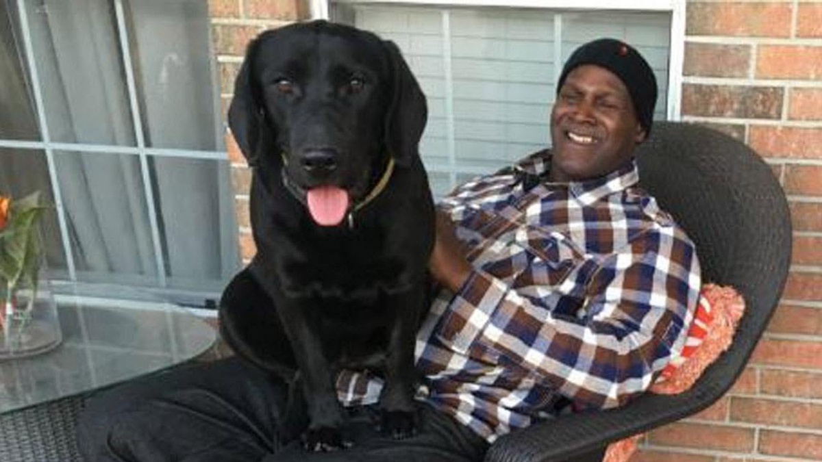 Man Exonerated After 38 Years Reunited with Prison Dog He Raised | The ...