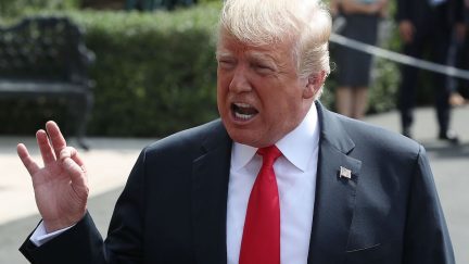 Grumpy Cat Meets Nyan Cat, Brings About Apocalypse | The Mary Sue