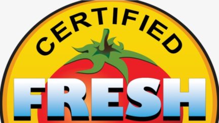 female critics | The Mary Sue