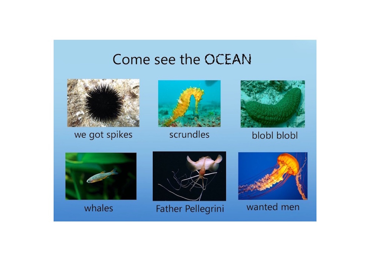 These Ridiculous Ocean Memes Are Everything | The Mary Sue