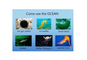These Ridiculous Ocean Memes Are Everything | The Mary Sue