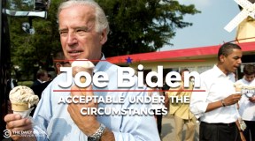 Steve Buscemi Perfectly Narrates Why I'm Voting for Joe Biden | The ...