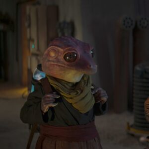 We Are All The Mandalorian's Frog Lady | The Mary Sue