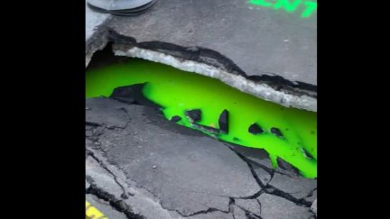 Is the Secret of the Ooze That It's From Toronto? | The Mary Sue