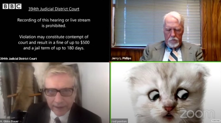 Lawyer Goes Viral With Zoom Cat Filter | The Mary Sue