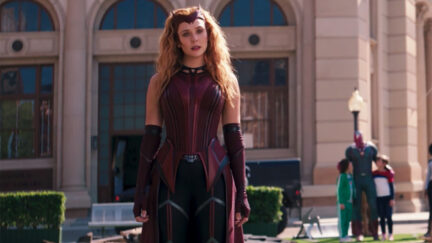 21 Weird Names For Groups of Animals | The Mary Sue